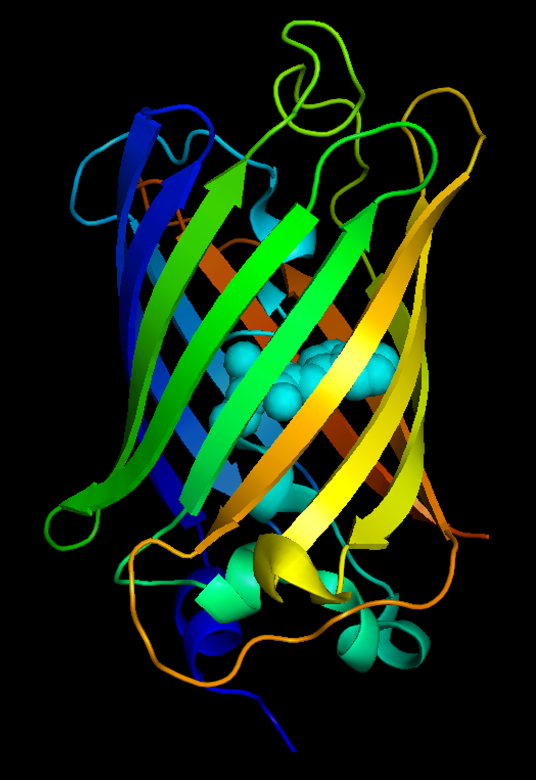 My history with GFP (and other members of the family) - FocalPlane