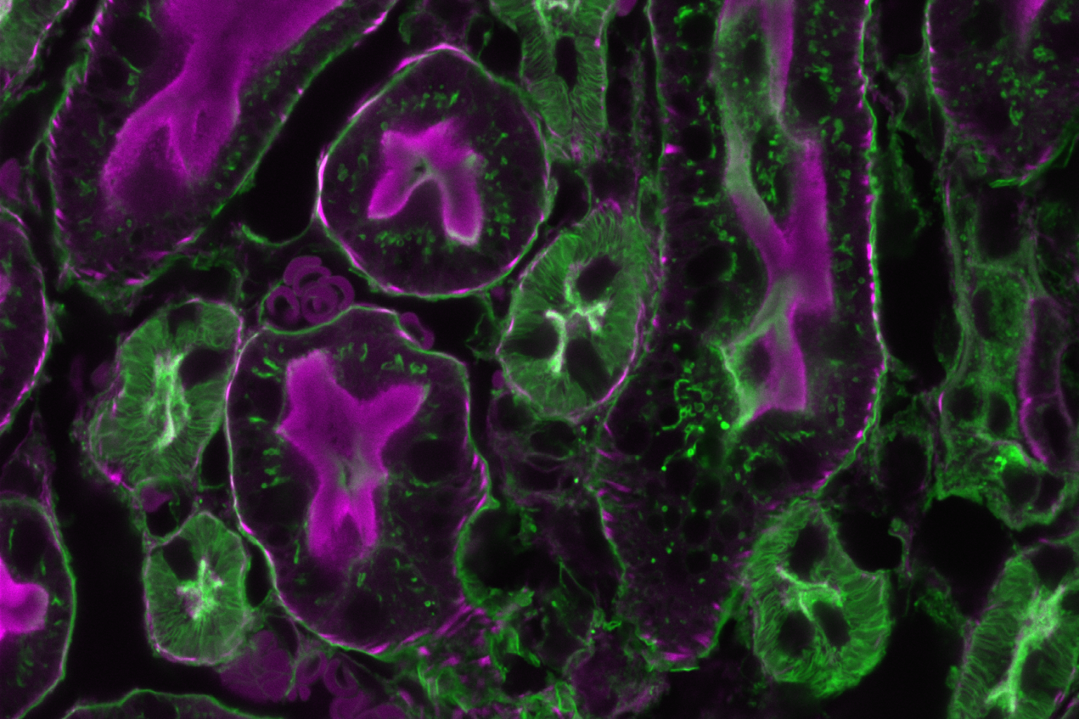 How I got into the Flamingo project, a new way of sharing custom-built ...