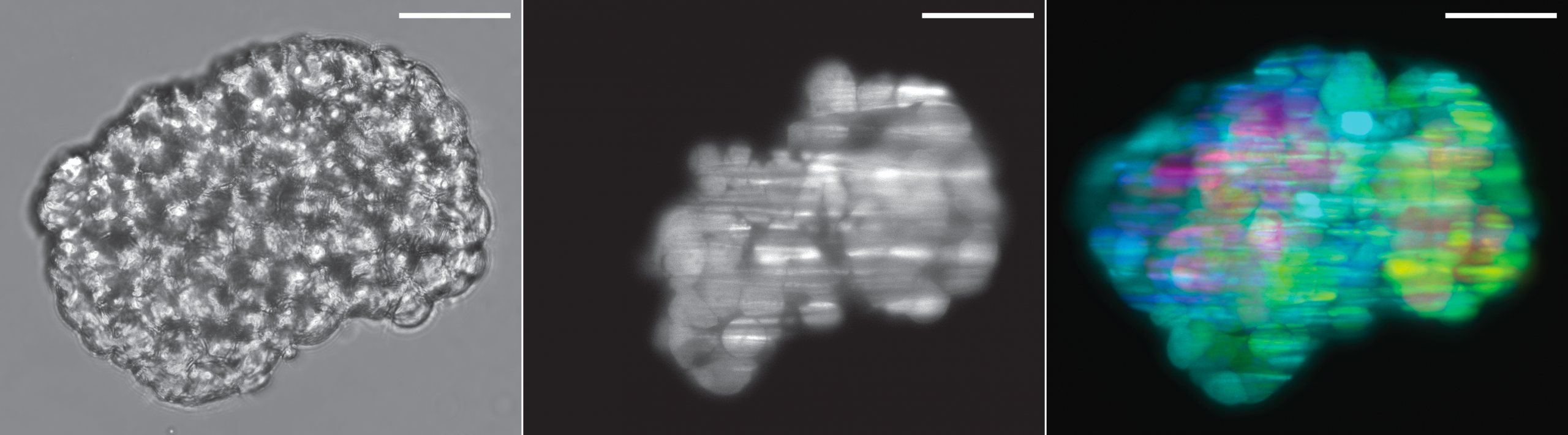 How I got into the Flamingo project, a new way of sharing custom-built ...