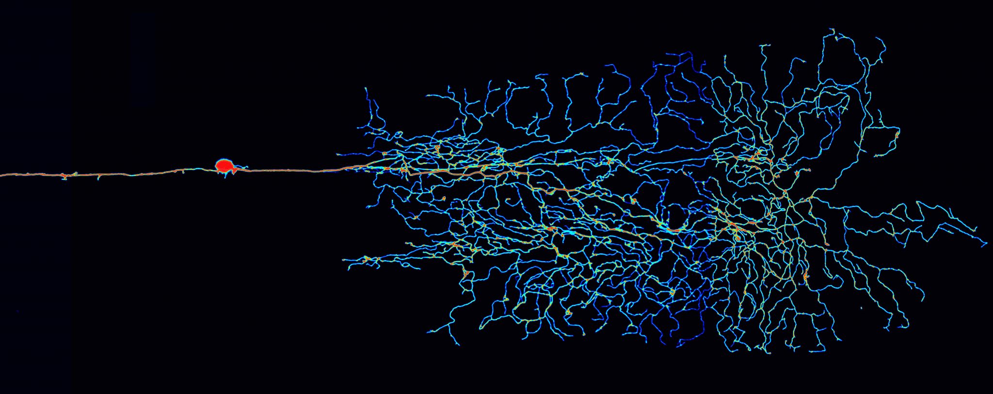 Gallery - FocalPlane