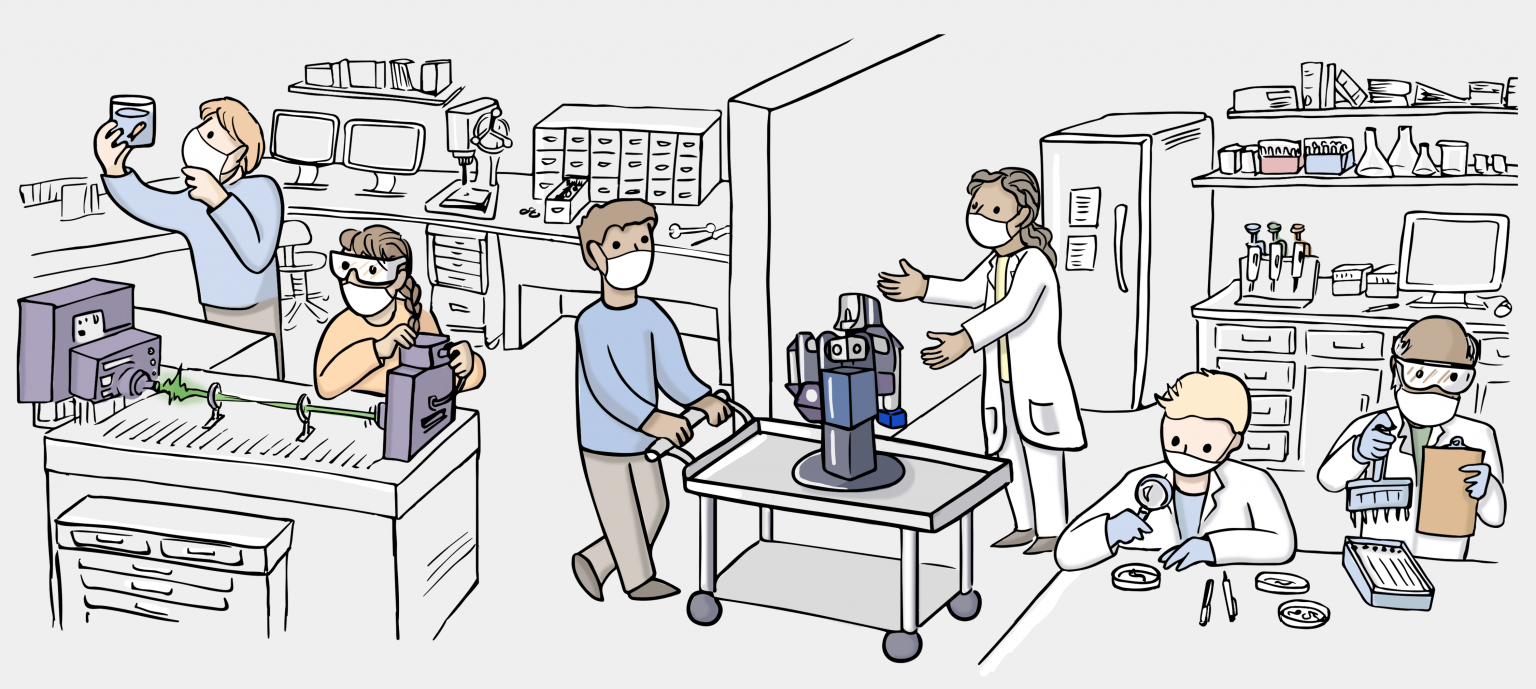 How I got into the Flamingo project, a new way of sharing custom-built ...