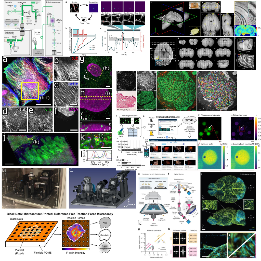 Microscopy preprints - New tools and techniques