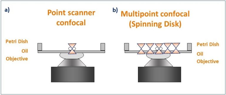 Overview of Microscopy Techniques: Confocal, Widefield, Transmitted ...
