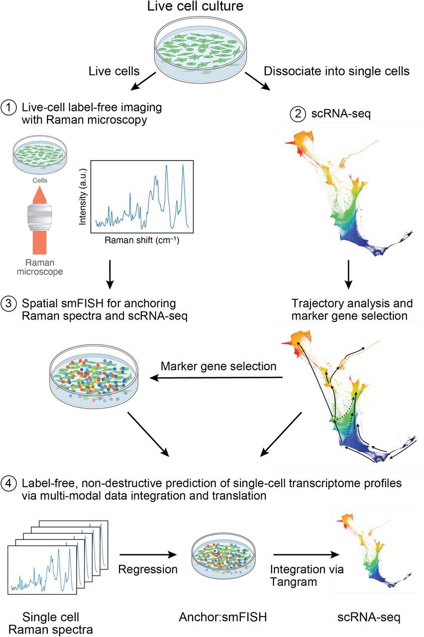 Microscopy preprints - New tools and techniques