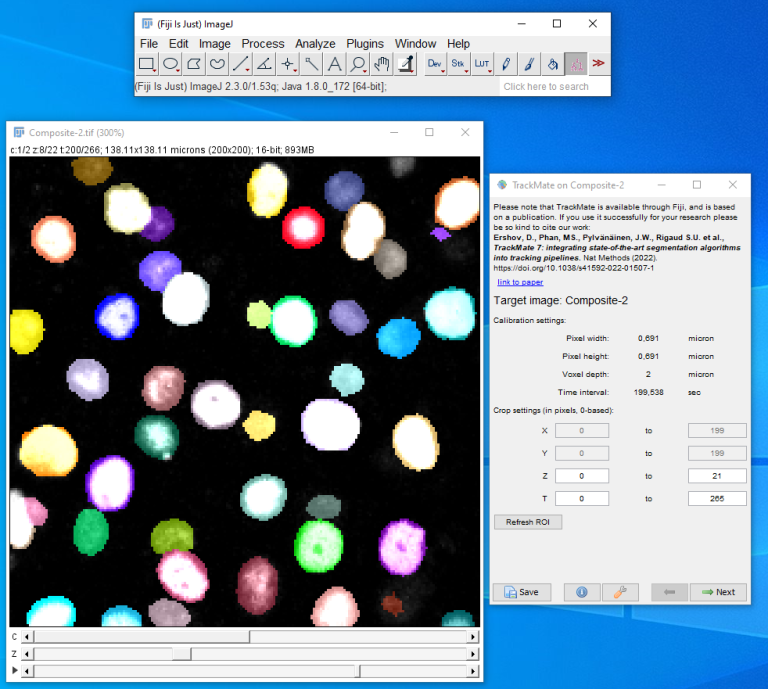 TrackMate-Oneat: Auto Track correction using deep learning networks - FocalPlane