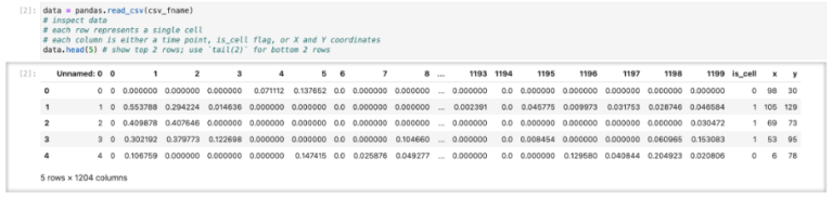 First steps for presentation and analysis of calcium imaging data ...