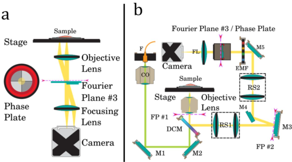 Microscopy preprints – new tool and techniques in imaging - FocalPlane