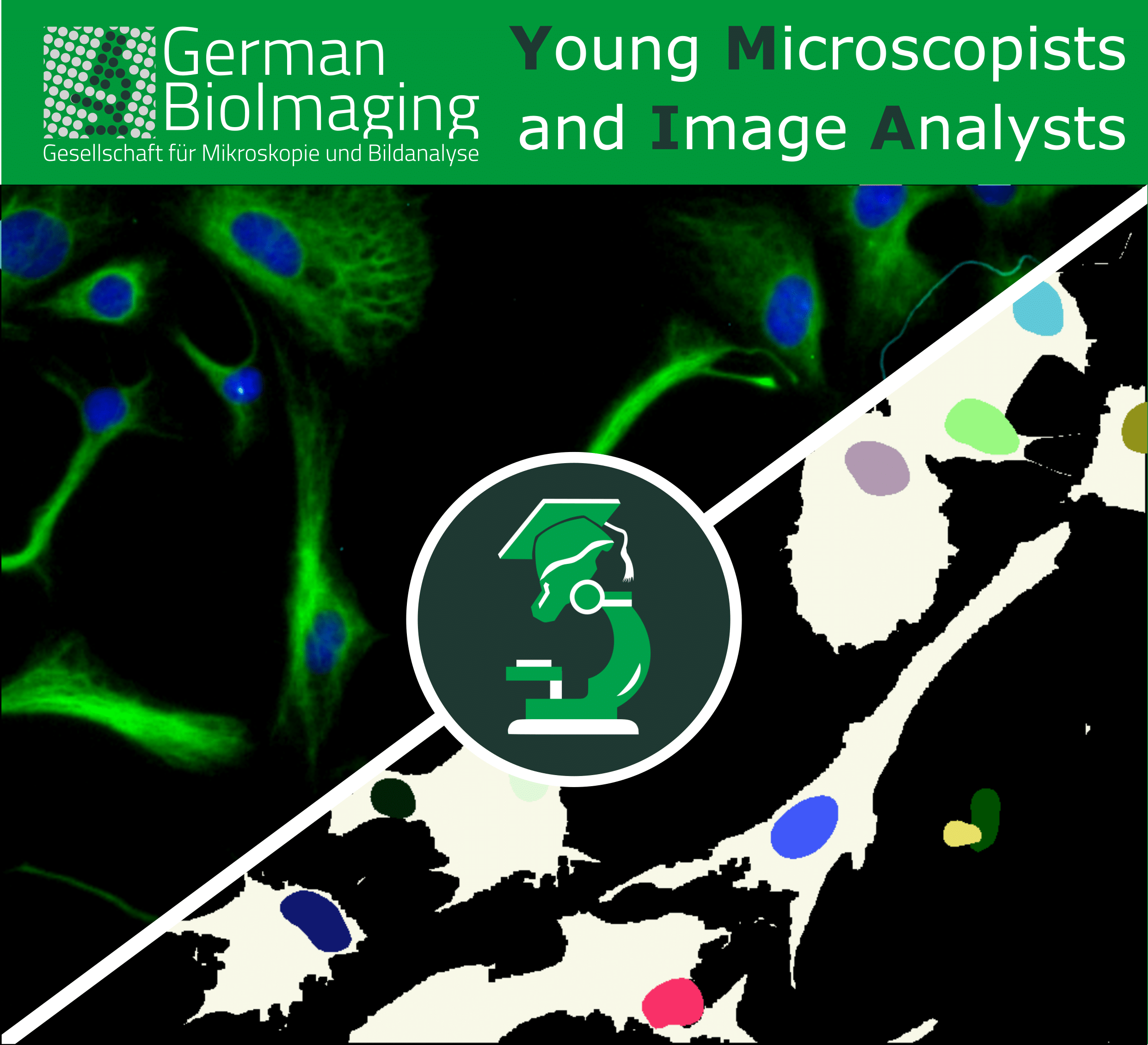 GerBI team forYoung Microscopists And Image Analysts (YMIA) FocalPlane