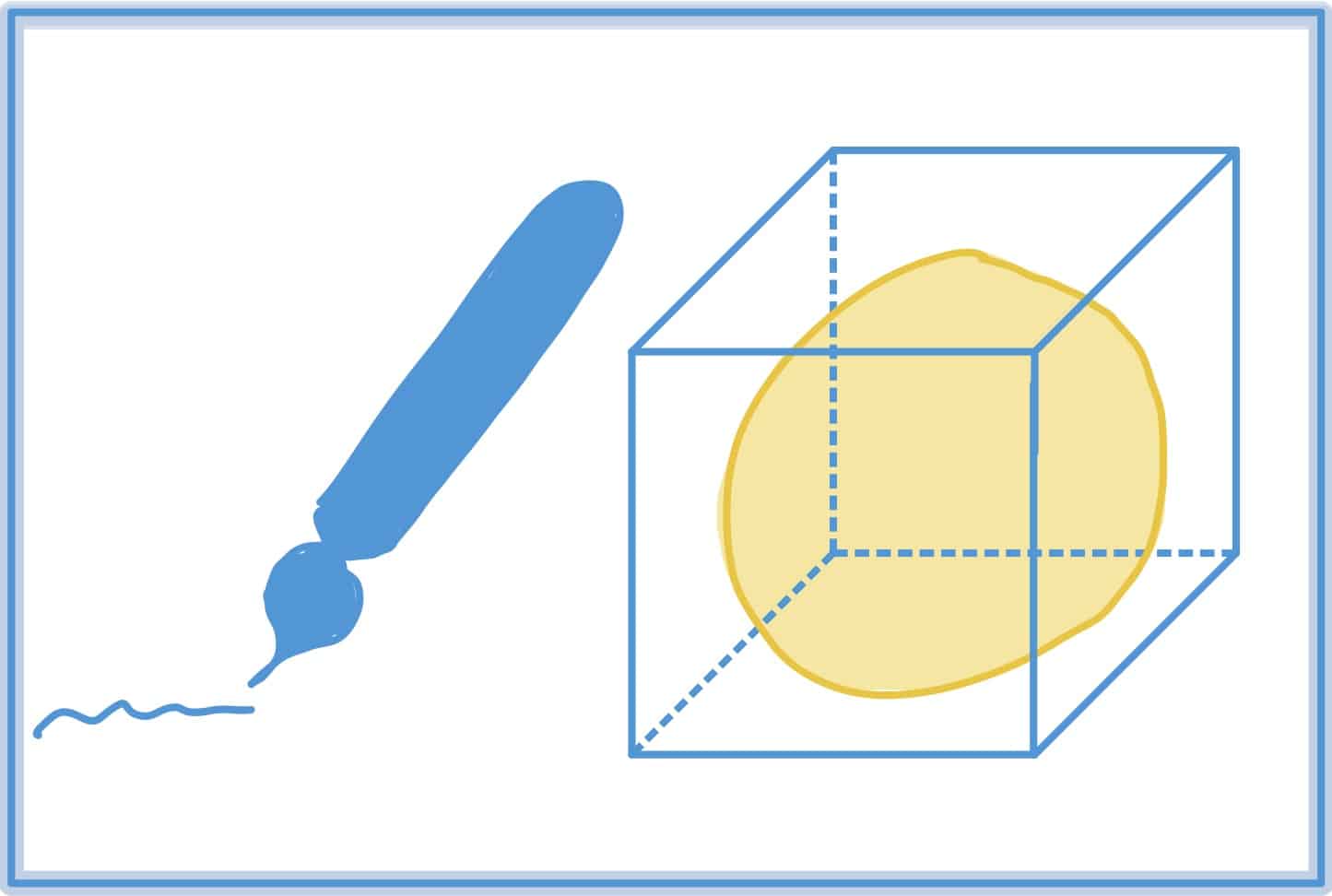 Annotating 3D images in napari - FocalPlane