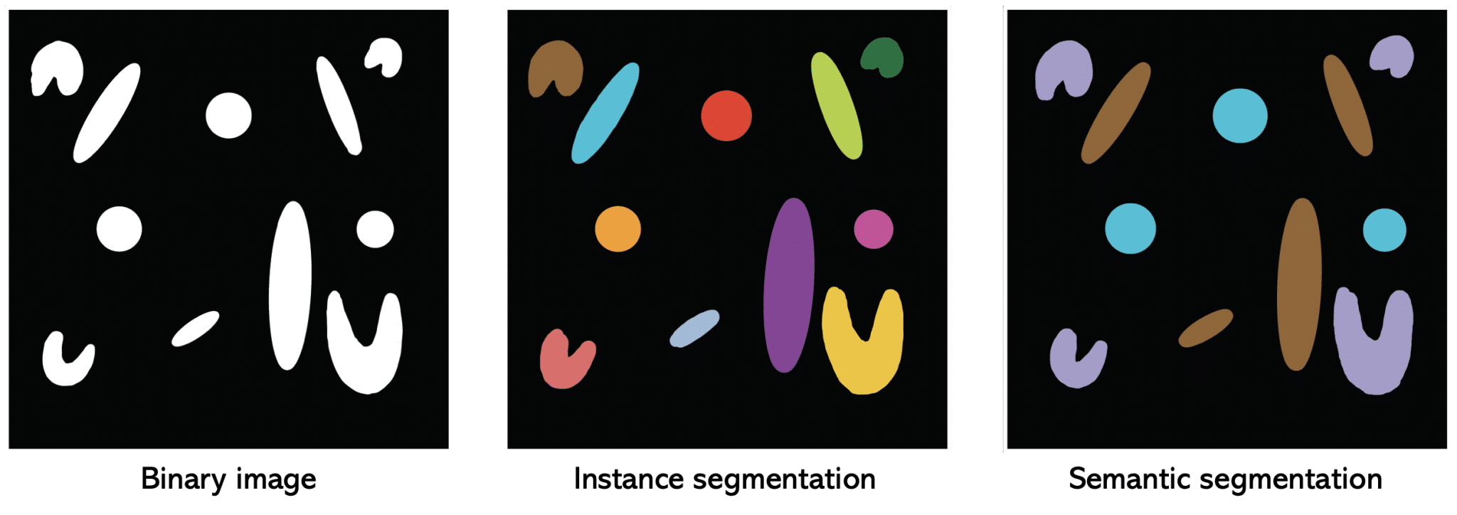 Quality assurance of segmentation results - FocalPlane