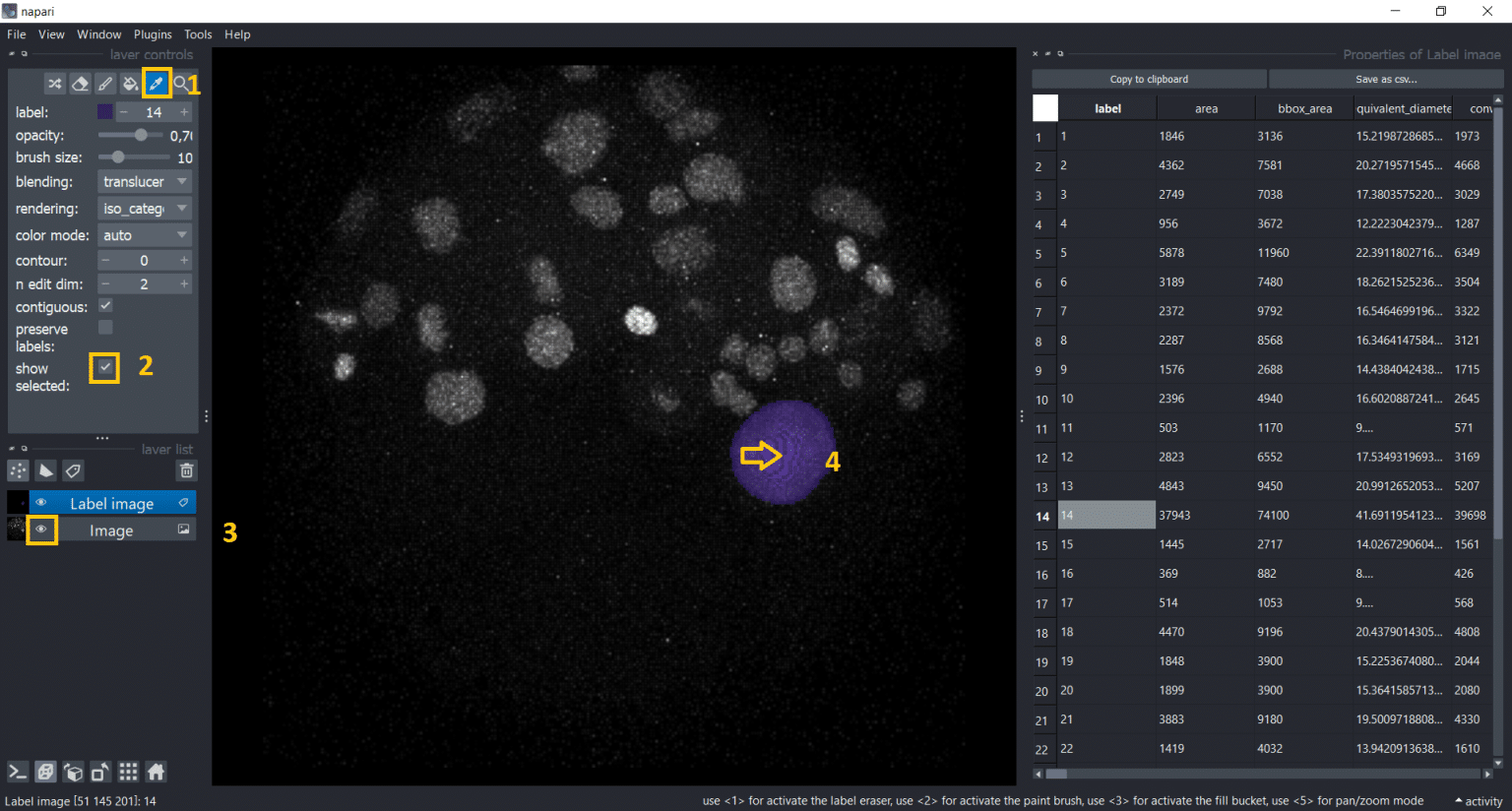 Feature extraction in napari - FocalPlane