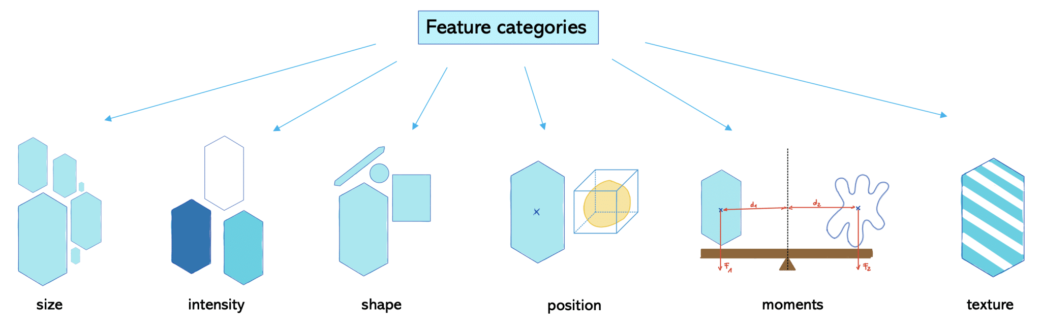 Feature extraction in napari - FocalPlane