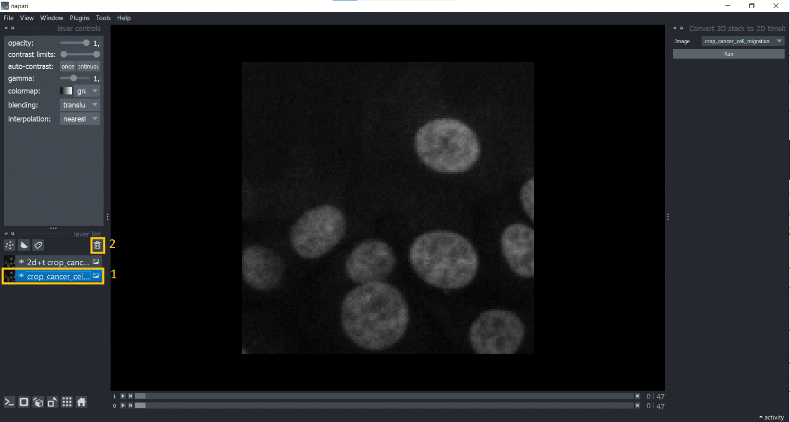 Tracking in napari - FocalPlane