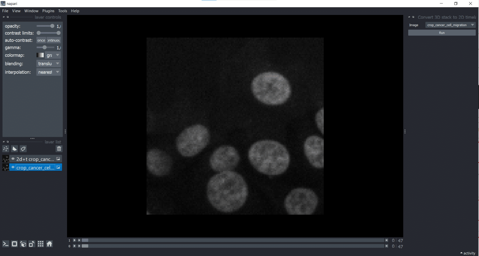 Tracking in napari - FocalPlane