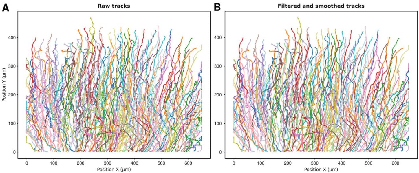 Microscopy preprints – bioimage analysis tools - FocalPlane