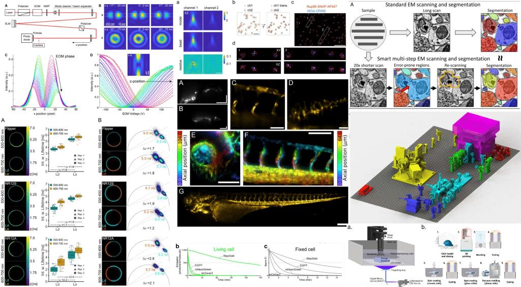 Microscopy preprints – new tools and techniques in imaging - FocalPlane