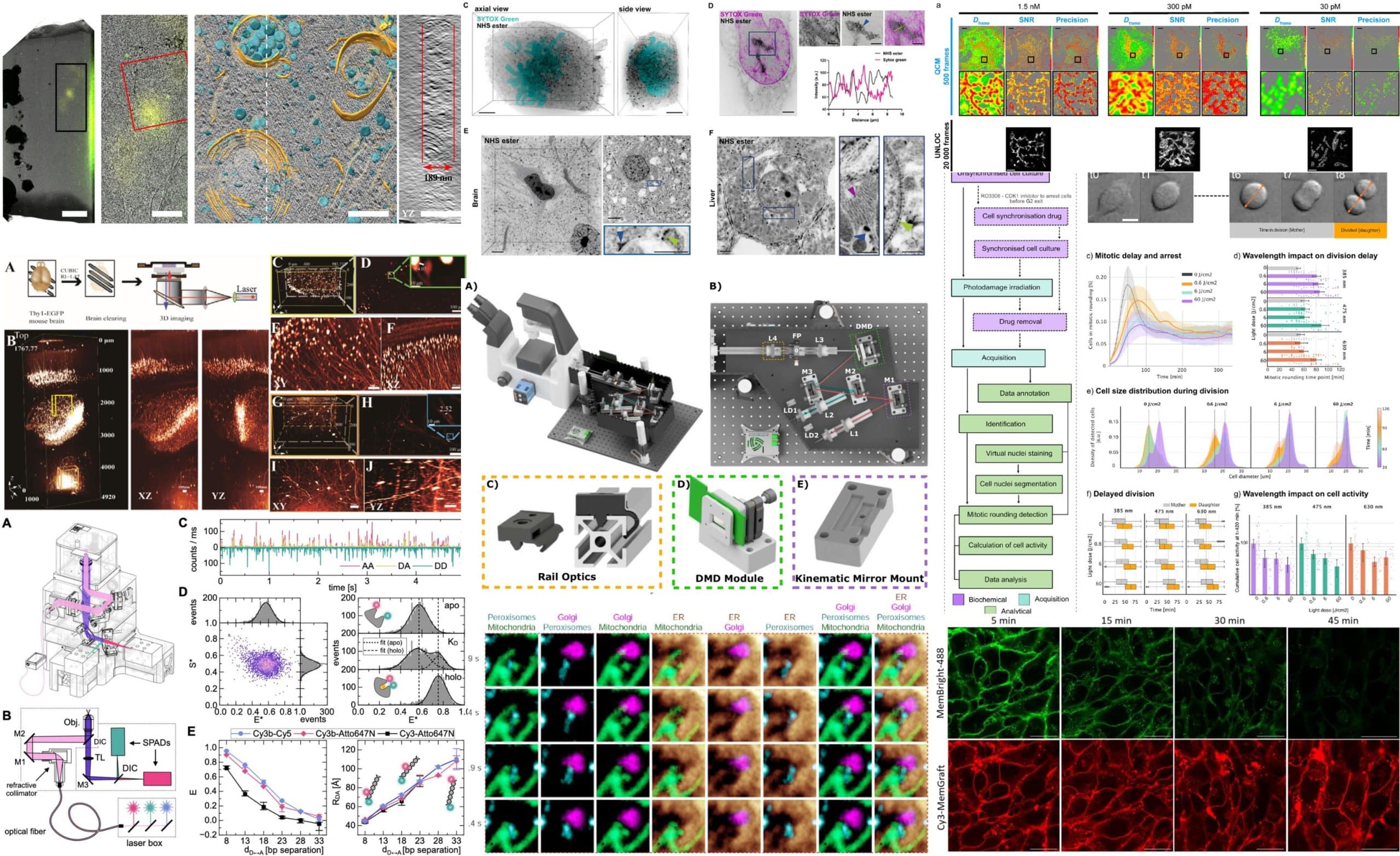 Microscopy preprints – new tools and techniques in imaging - FocalPlane