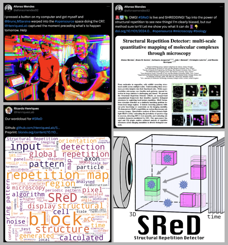 Structural Repetition Detector (SReD): quantitative mapping of ...