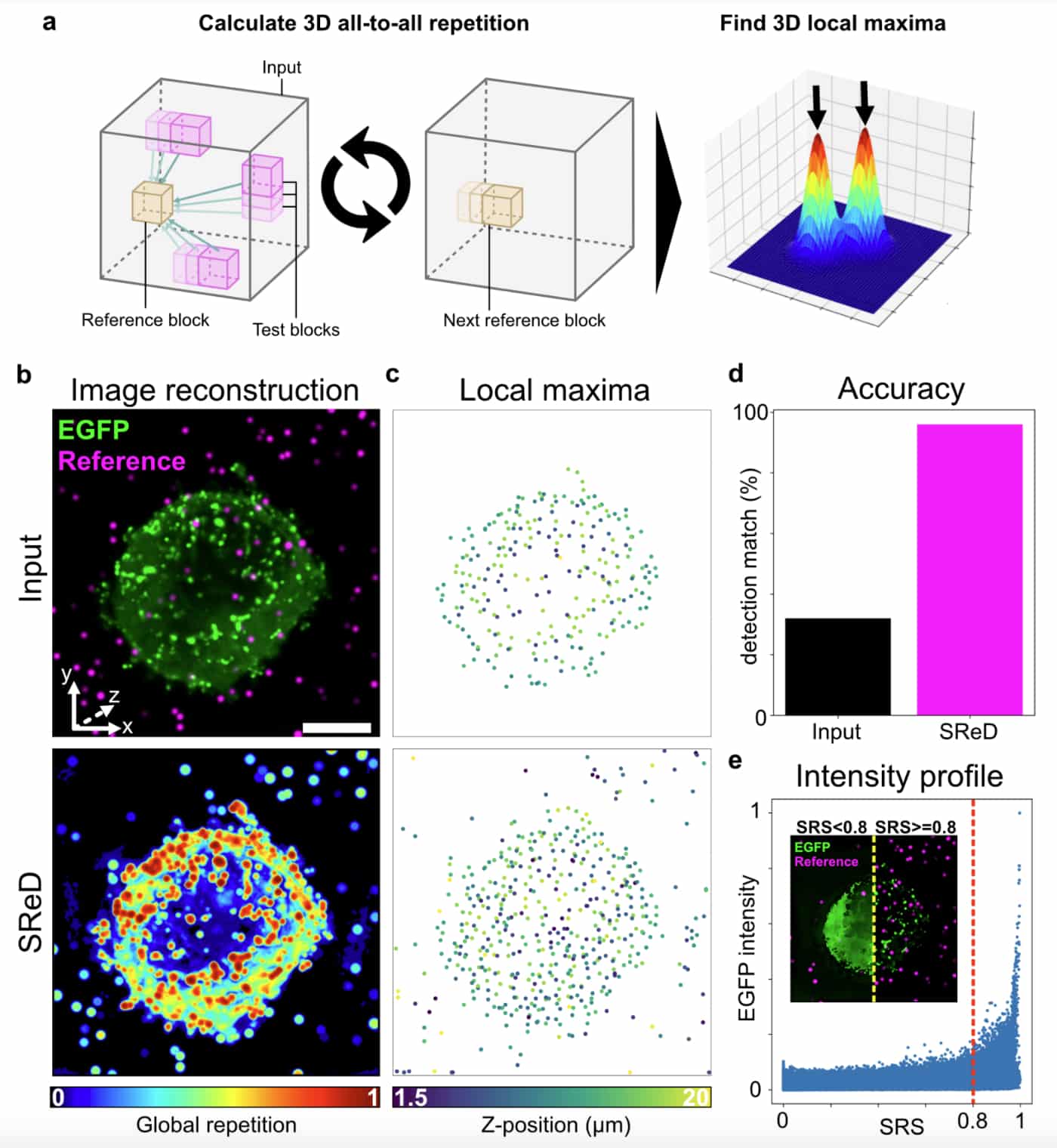 Structural Repetition Detector (SReD): quantitative mapping of ...