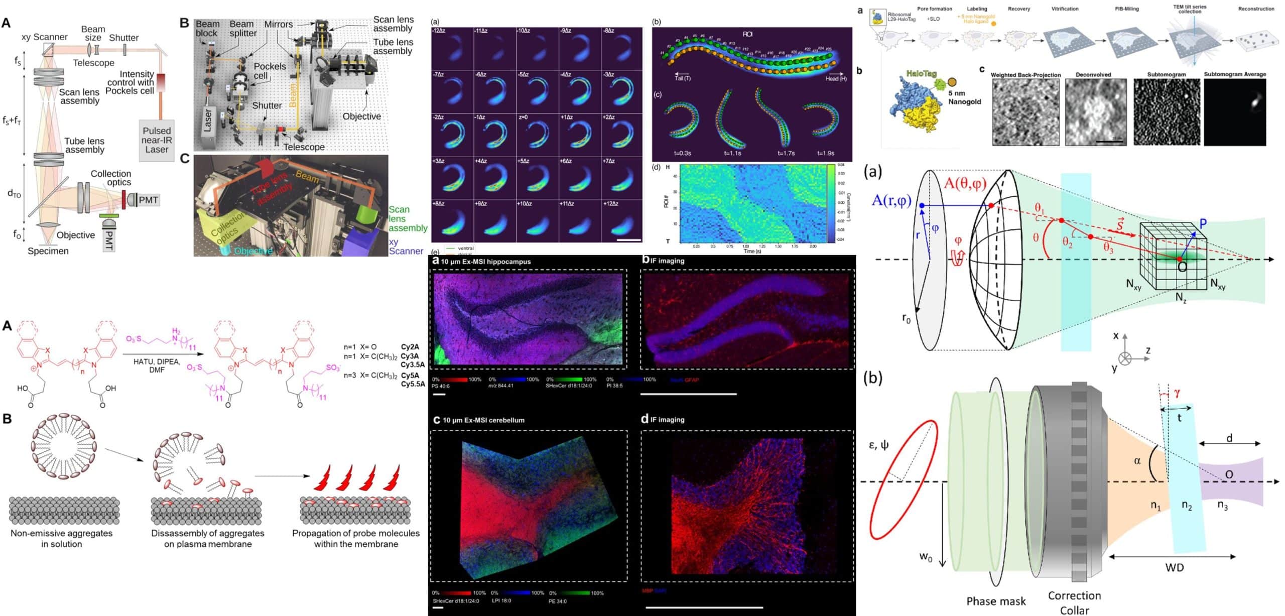 Microscopy preprints - new tools and techniques in imaging - FocalPlane