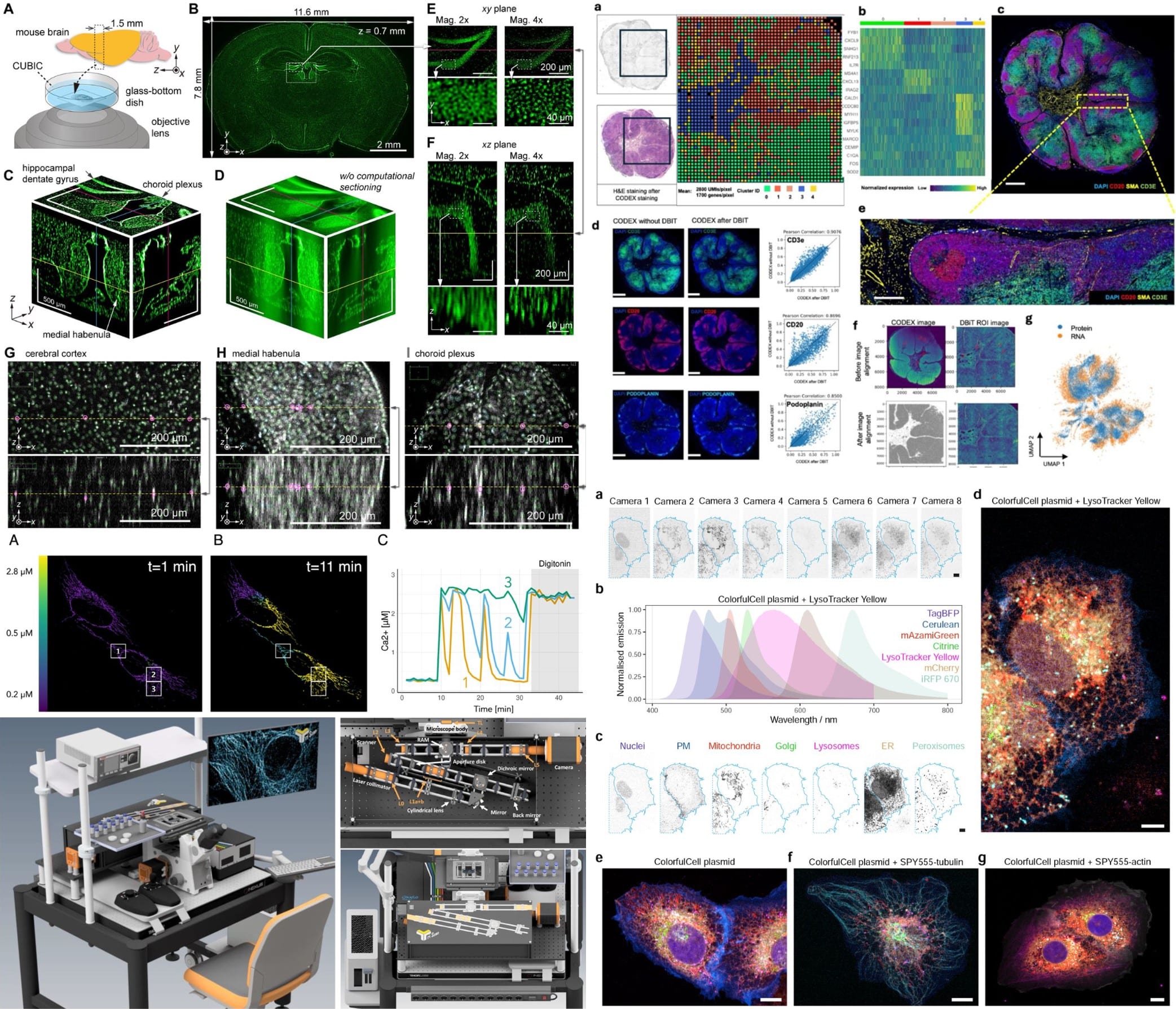 Microscopy preprints - new tools and techniques in imaging - FocalPlane