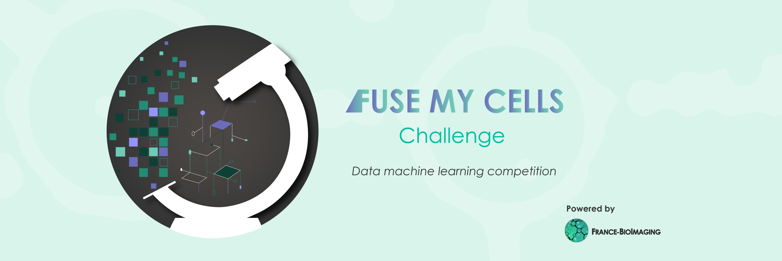 France-BioImaging Challenge is back! Fuse My Cells - FocalPlane