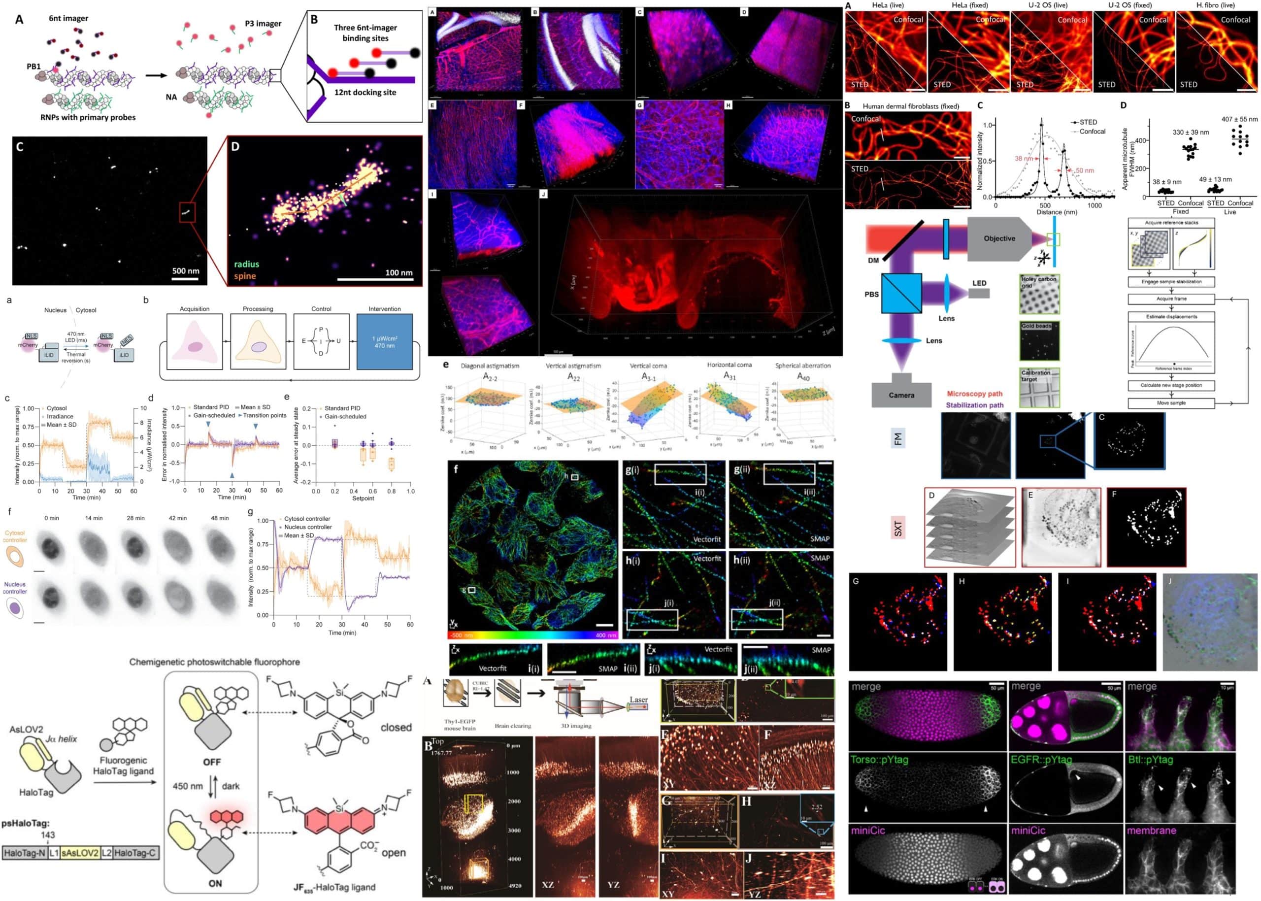 Microscopy preprints - new tools and techniques in imaging - FocalPlane
