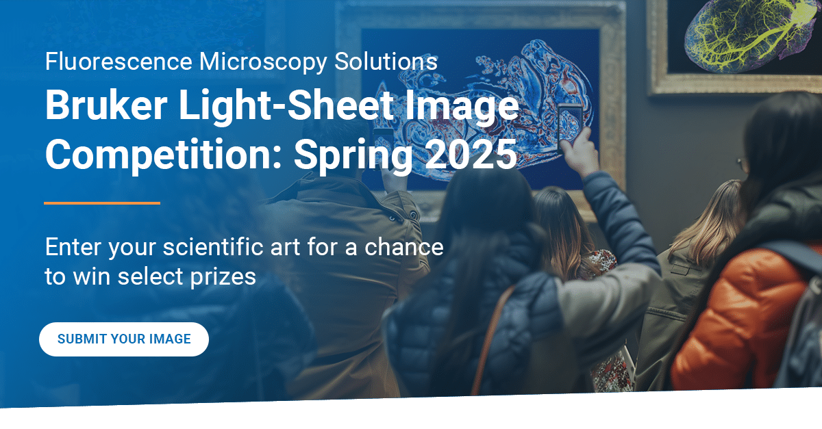 Bruker Light-Sheet Image Competition – Spring 2025 - FocalPlane