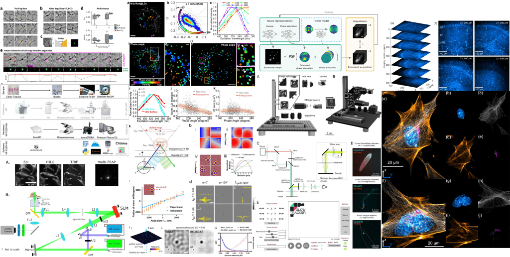 Microscopy preprints – new tools and techniques in imaging - FocalPlane