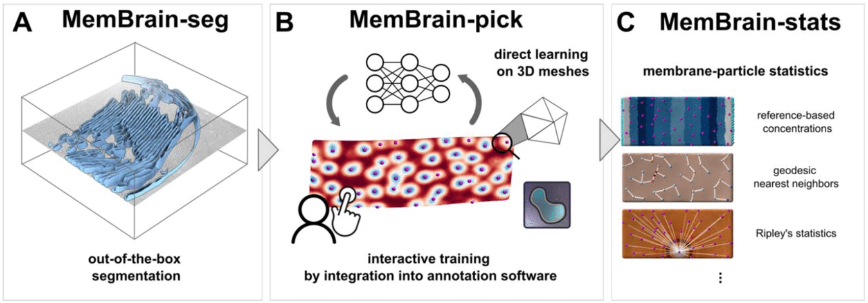 Microscopy preprints - bioimage analysis - FocalPlane
