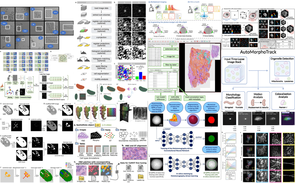 Microscopy preprints - bioimage analysis - FocalPlane