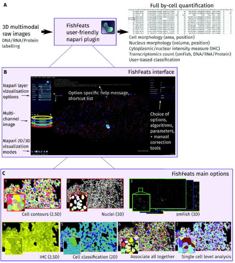 Microscopy preprints - bioimage analysis - FocalPlane