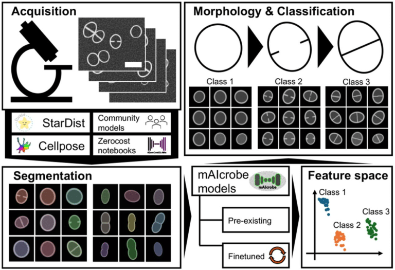 Microscopy preprints – bioimage analysis - FocalPlane