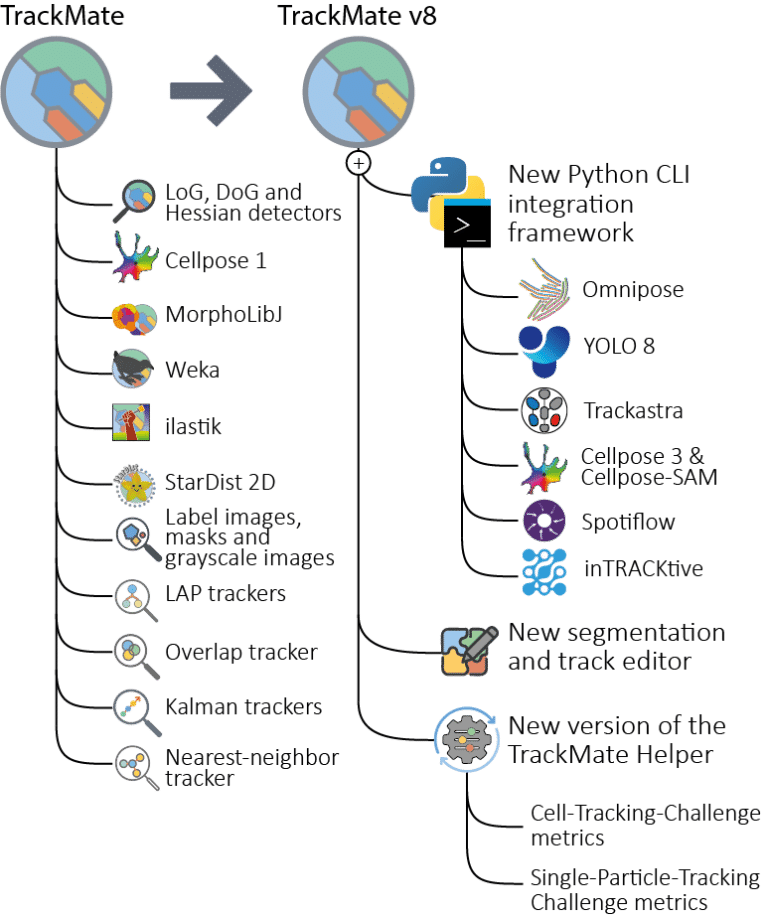 A new version of TrackMate with improved integration of key AI algorithms and track edition ...