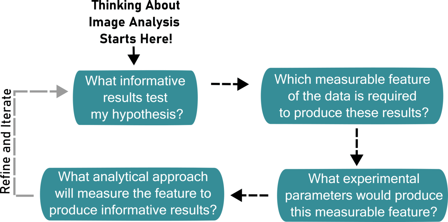 How do I get started with image analysis? - FocalPlane