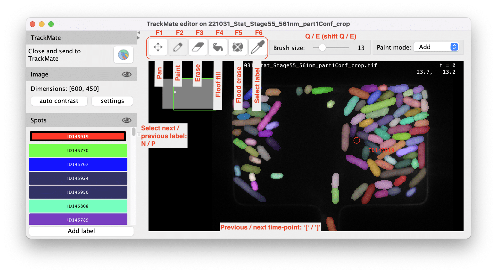 A new version of TrackMate with improved integration of key AI ...