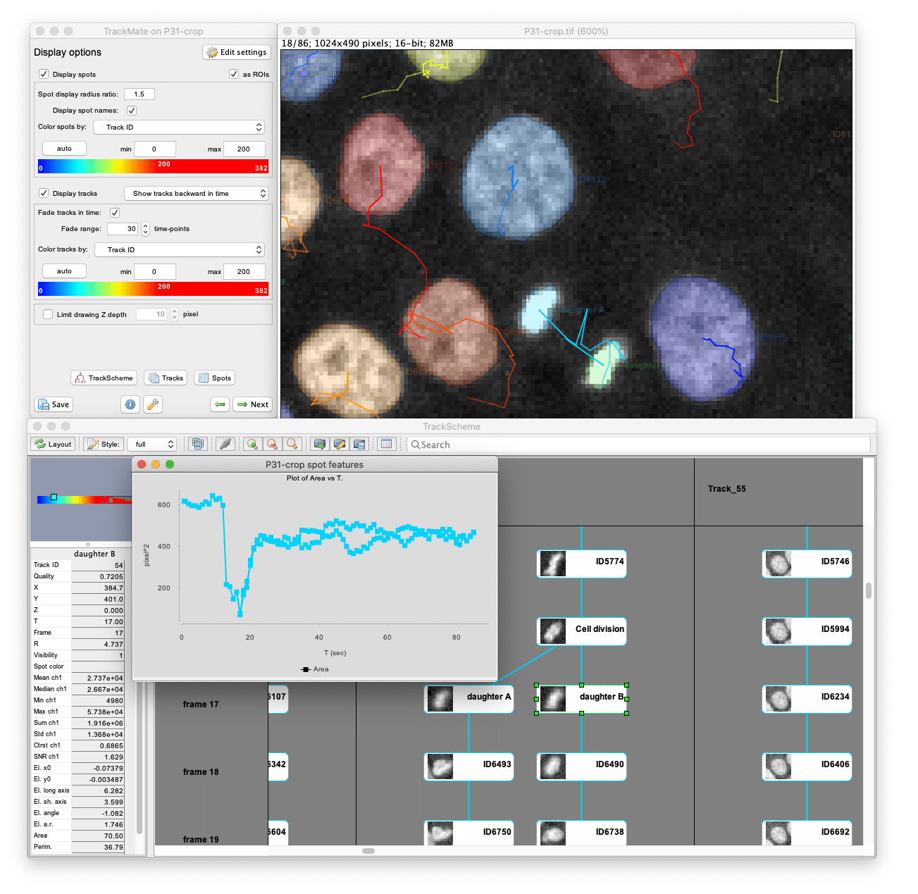 A new version of TrackMate with improved integration of key AI ...