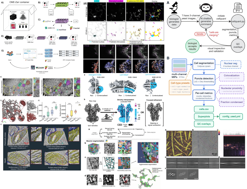 Microscopy preprints: bioimage analysis - FocalPlane