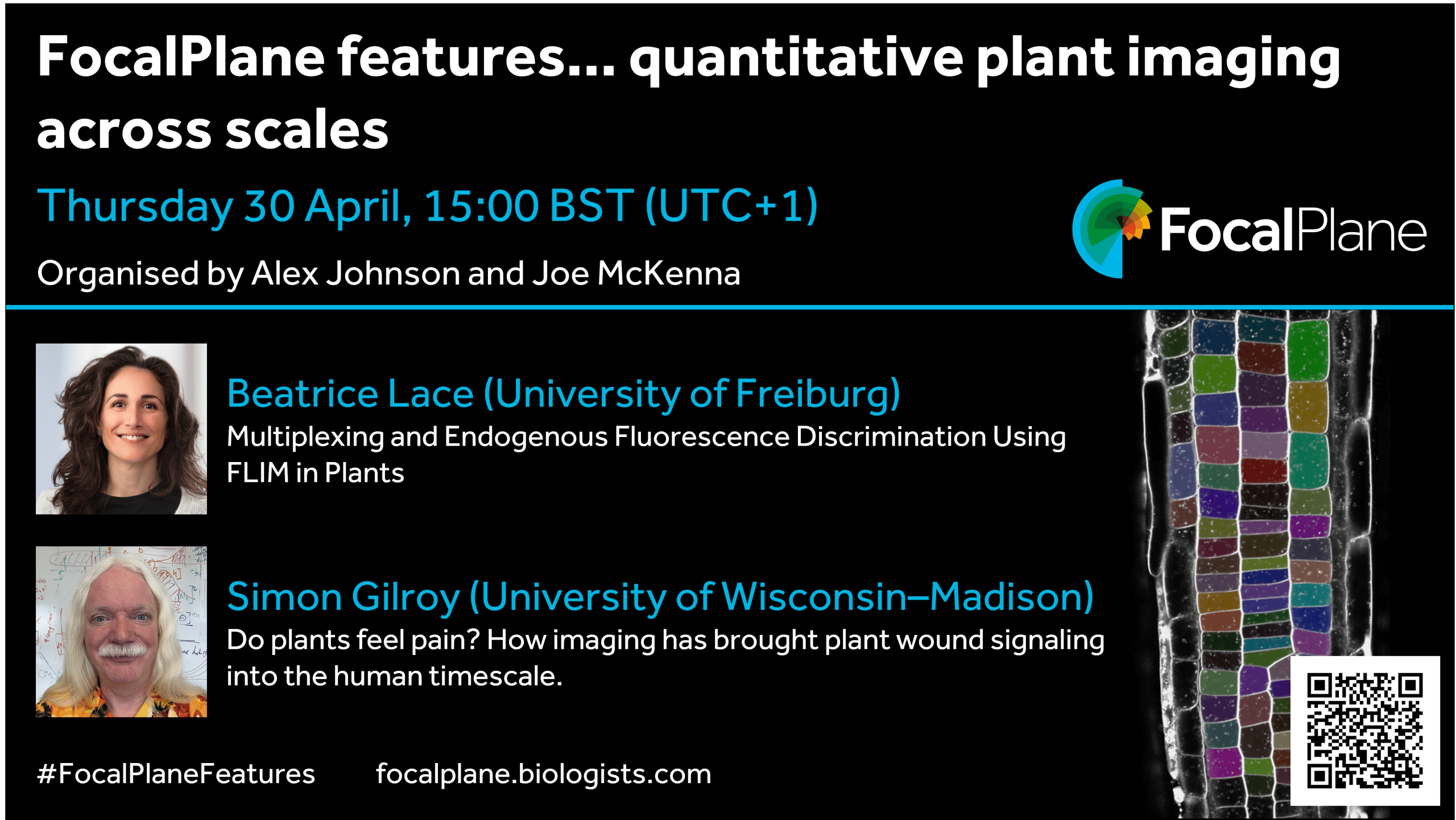 New webinar series on plant imaging - FocalPlane